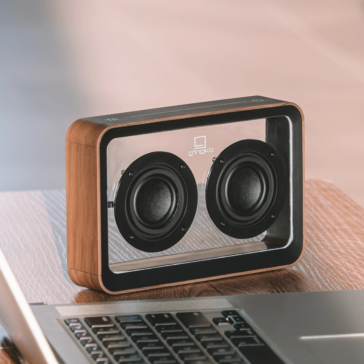 Gingko, Mage See-Through Speaker in Walnut – AKAR Design