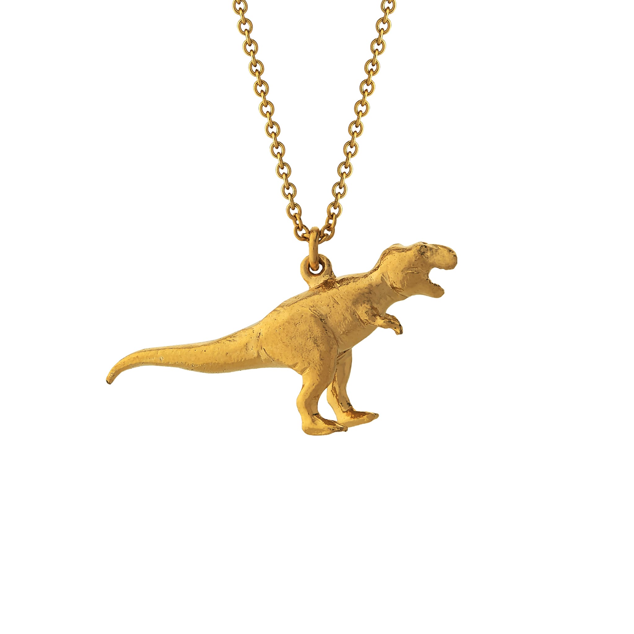 Tyrannosaurus Rex Necklace by Alex Monroe Jewellery – AKAR Design